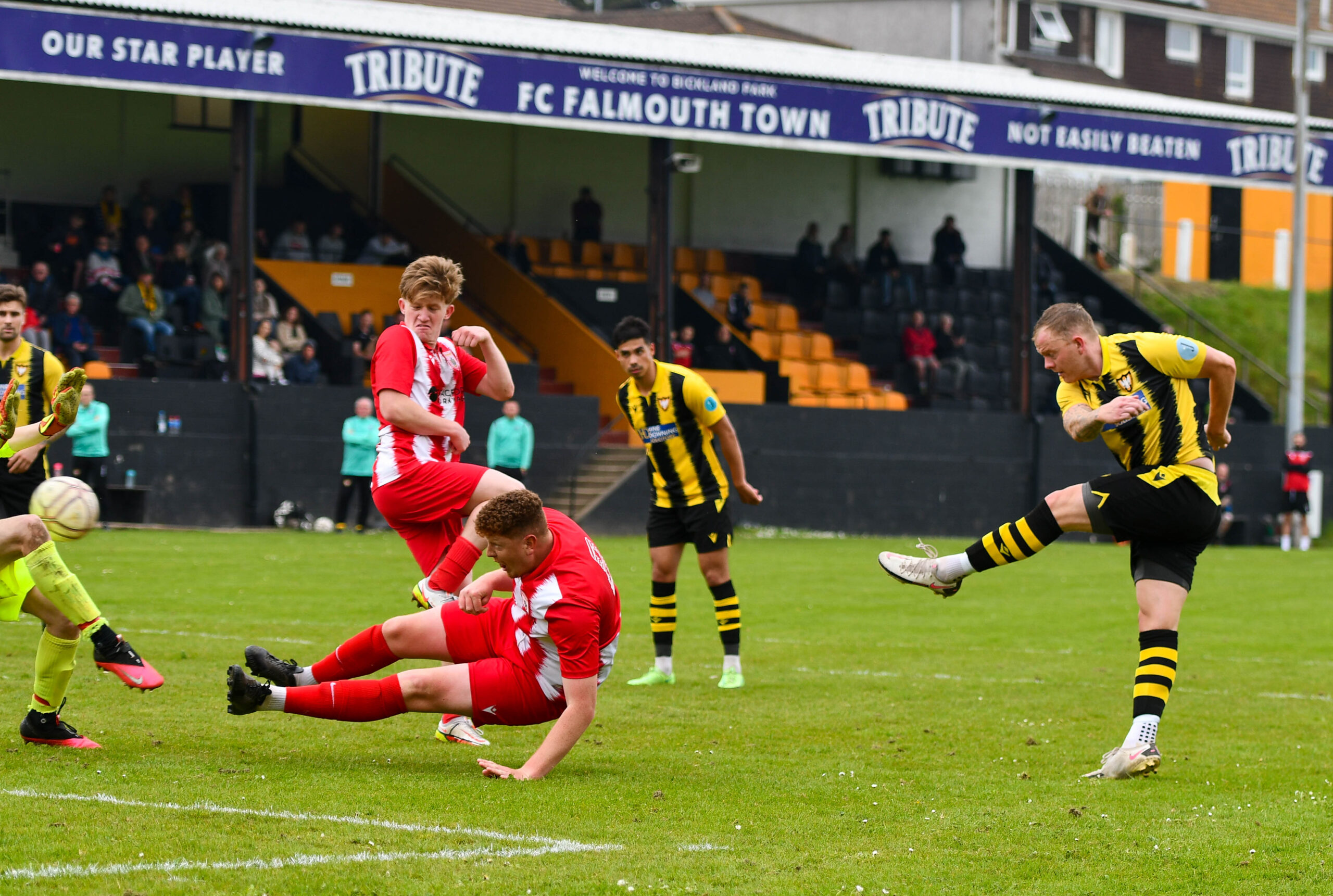 TOM ANNEAR - Falmouth Town AFC